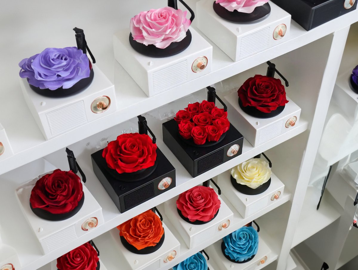 Choosing Rose Colors: The Enduring Beauty of Forever Roses – Imaginary ...