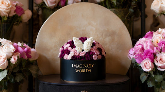 Ramo Buchon Collection - Imaginary Worlds
