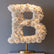 Standing Letter B Lamp – Preserved Roses at Imaginary Worlds